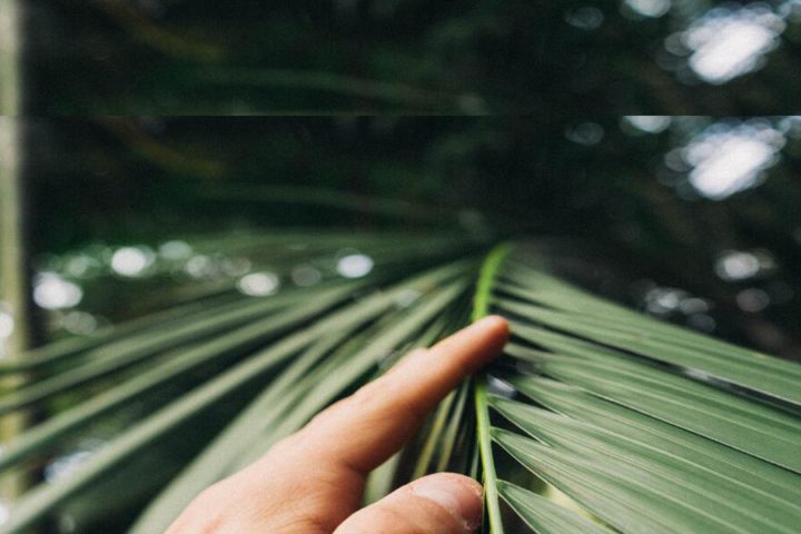 St Clement Romeo – In Historic Romeo, Michigan